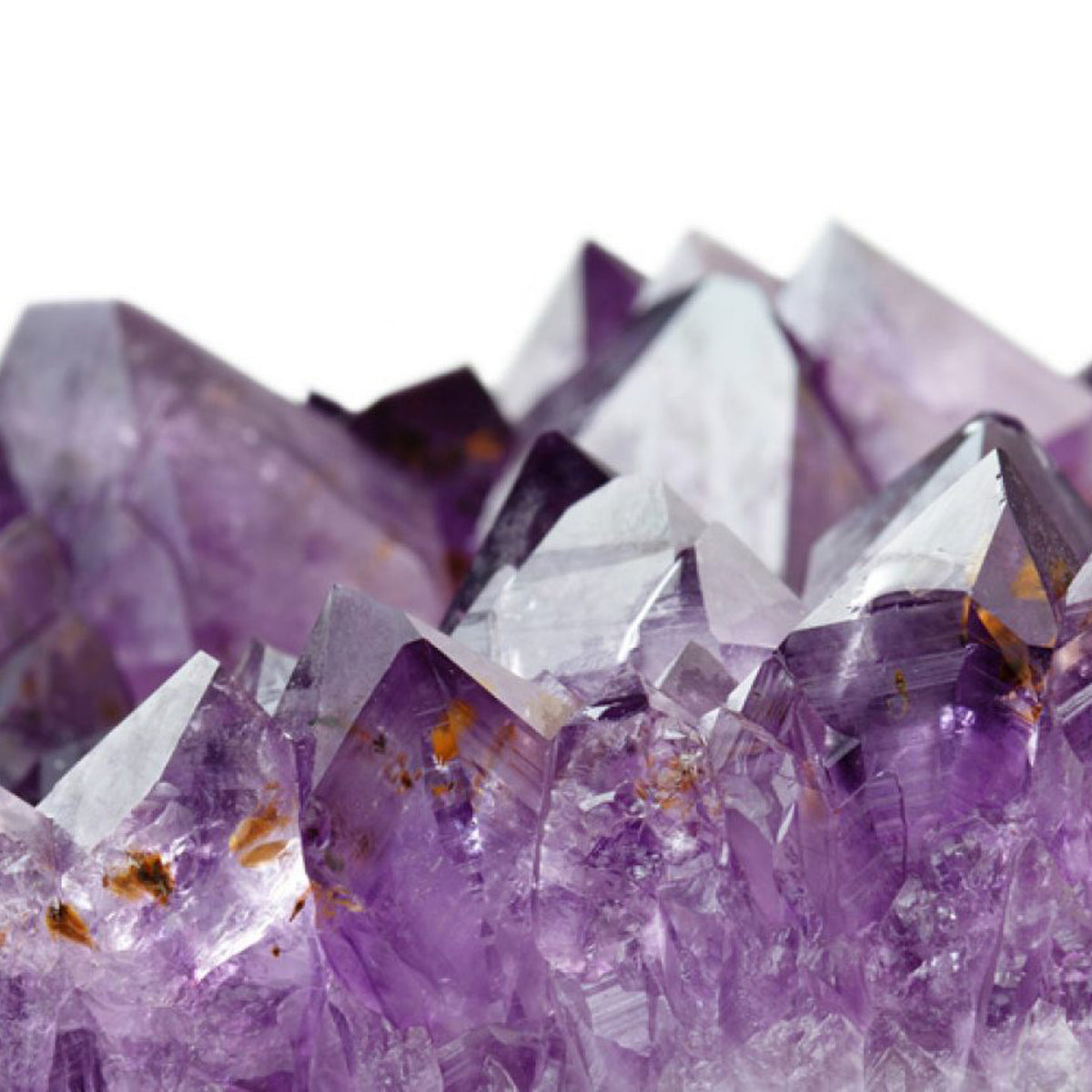 AMETHYST – Drowning Bear